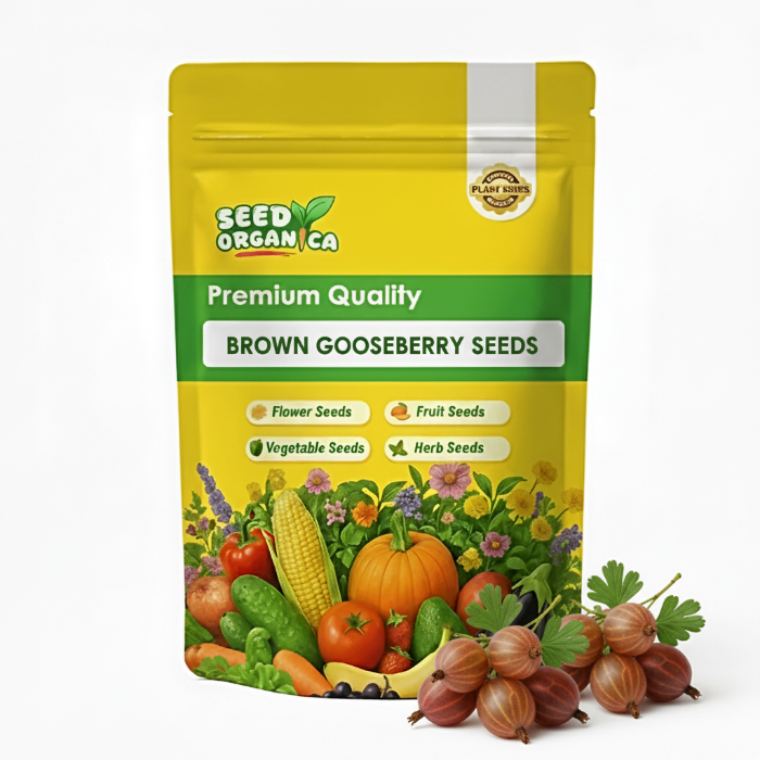 Brown Gooseberry Seeds | Hardy Fruit Shrub