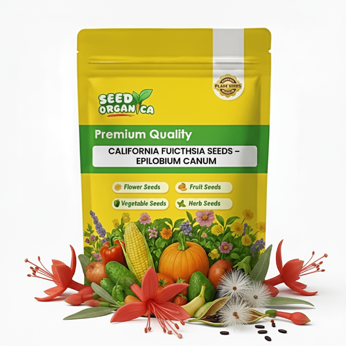 Fuchsia Seeds All Varieties – Buy Online | Seed Organica