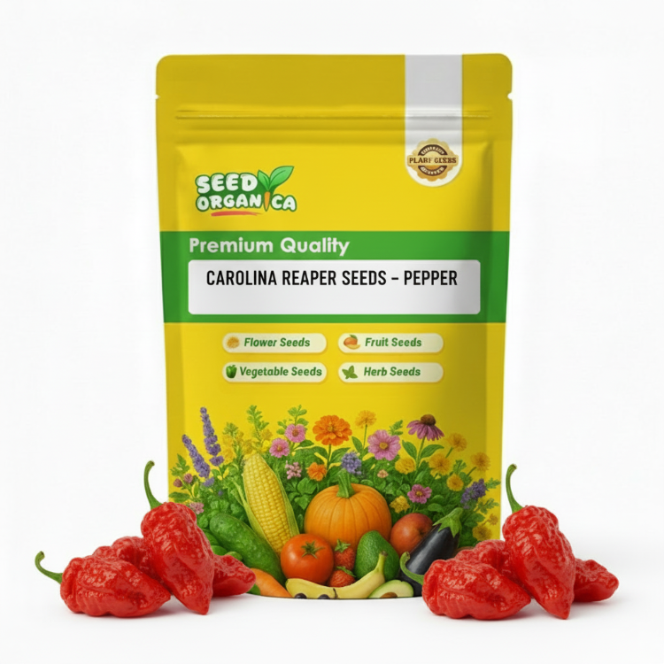 Pepper Carolina Reaper Seeds | Hot Chili Pepper Garden Seeds