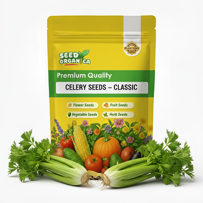 Classic Celery Seeds | Garden Vegetable Plant
