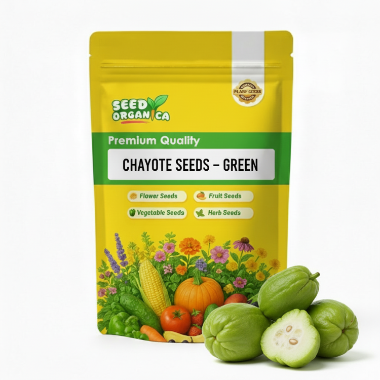 Chayote Seeds All Varieties – Buy Online | Seed Organica