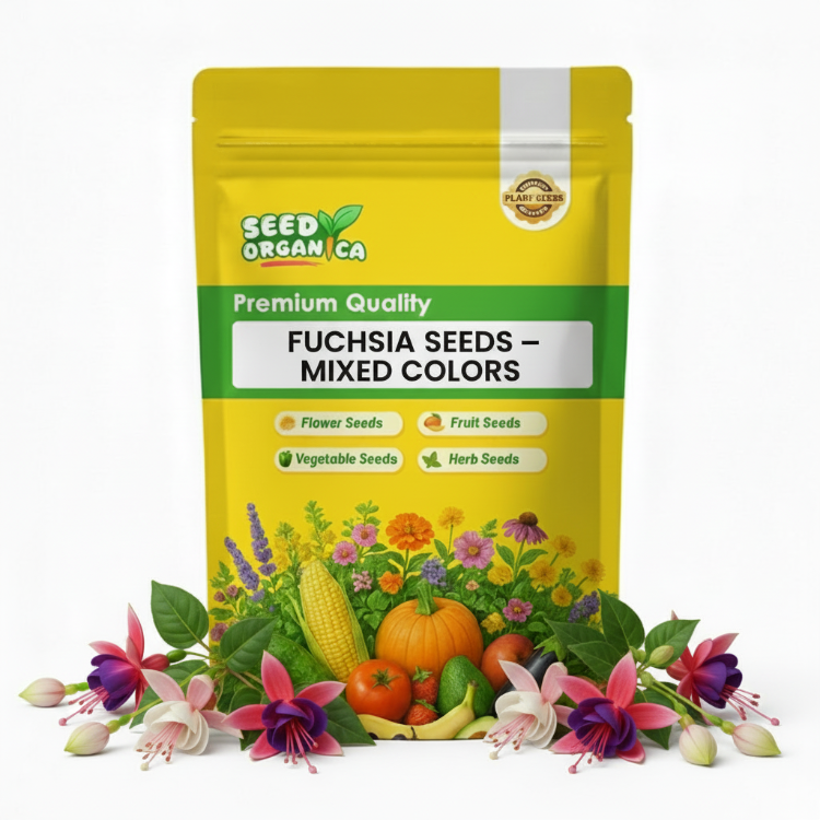 Fuchsia Seeds All Varieties – Buy Online | Seed Organica