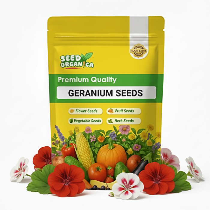 Geranium Seeds | Colorful Garden Flower Planting