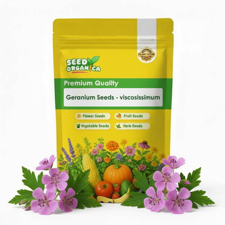 Viscosissimum Geranium Seeds | Hardy Wild Geranium