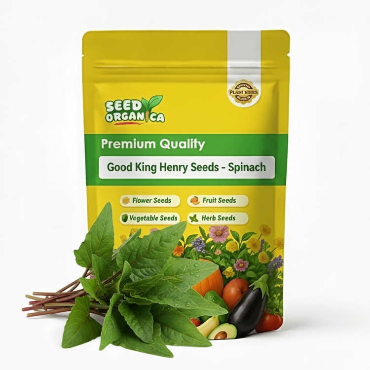 Good King Henry Seeds All Varieties – Buy Online | Seed Organica