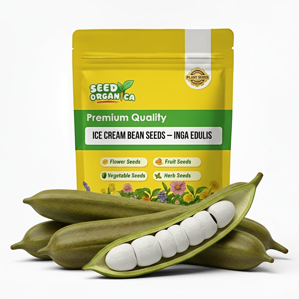 Inga edulis Ice Cream Bean Seeds | Tropical Tree Seeds