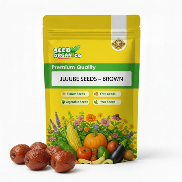 Jujube Seeds – Grow Sweet Chinese Date Trees at Home