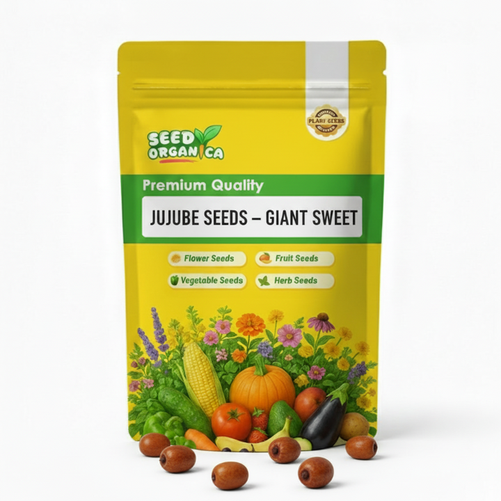 Jujube Seeds – Grow Sweet Chinese Date Trees at Home