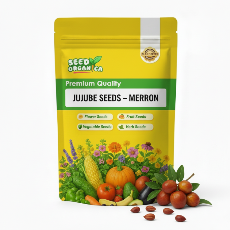 Jujube Seeds – Grow Sweet Chinese Date Trees at Home