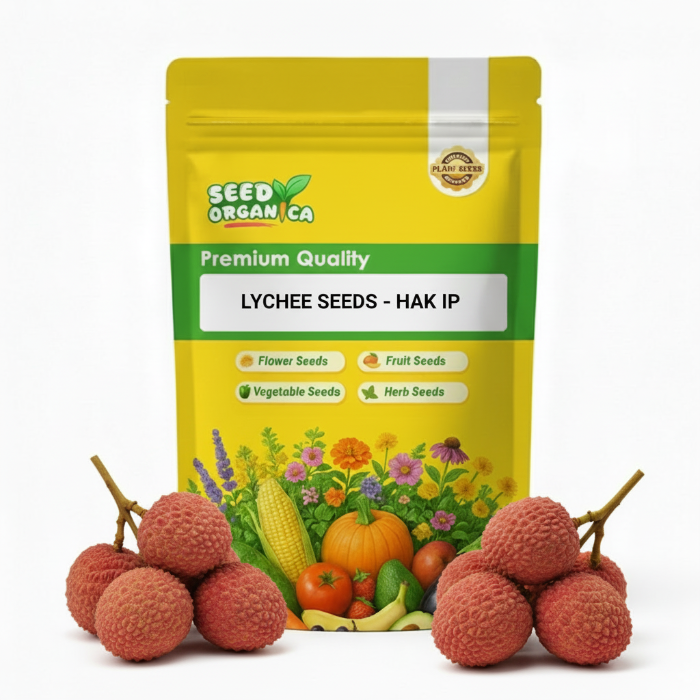 Hak Ip Lychee Seeds | Tropical Fruit Tree Planting Seeds