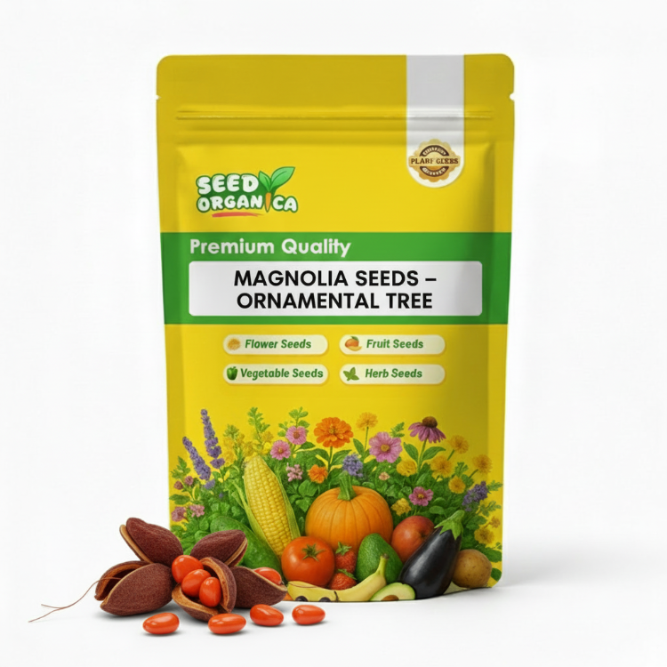 Ornamental Tree Magnolia Seeds | Garden Magnolia Seeds