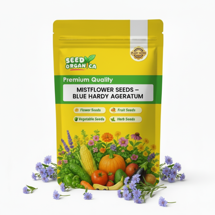 Blue Hardy Ageratum Mistflower Seeds | Garden Flower Mix