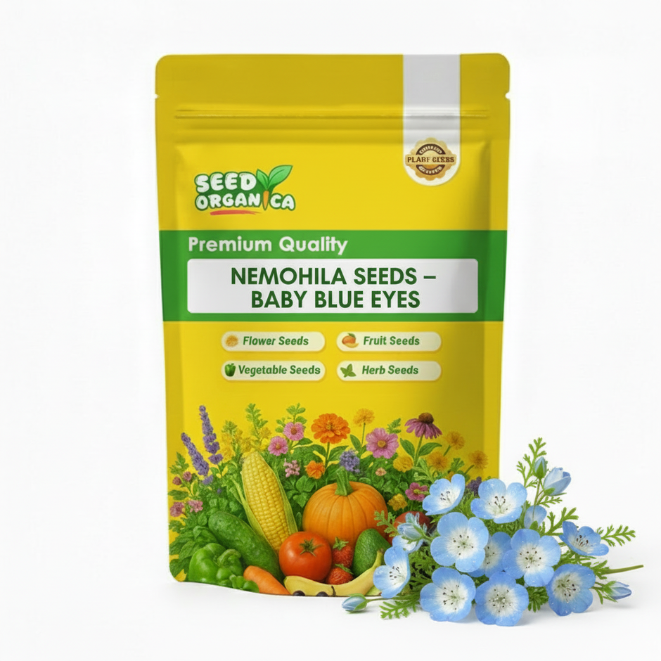 Nemophila Seeds – Baby Blue Eyes