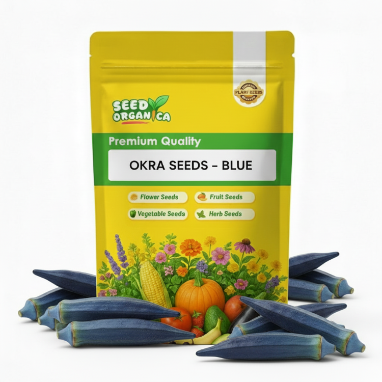 Blue Okra Seeds – Vegetable Plant