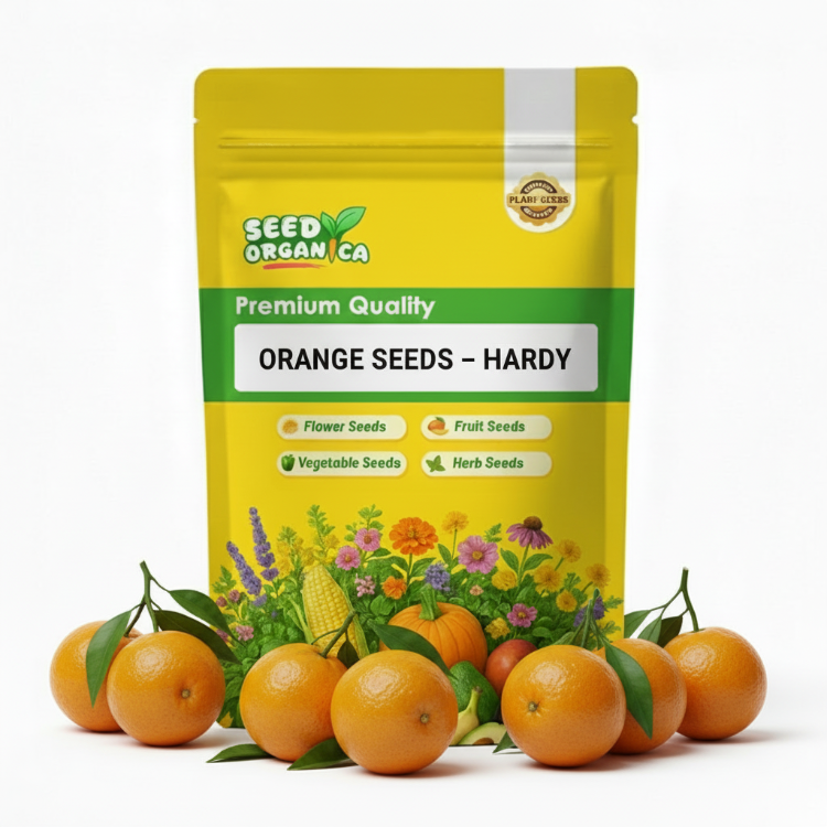 Orange Seeds for Planting | Buy Orange Seeds Online