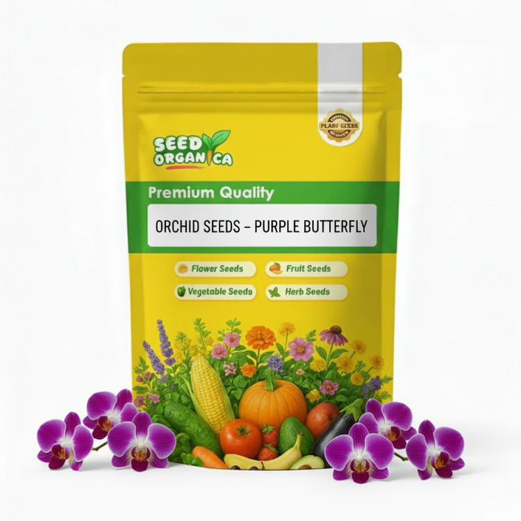 Orchid Seeds – Purple Butterfly