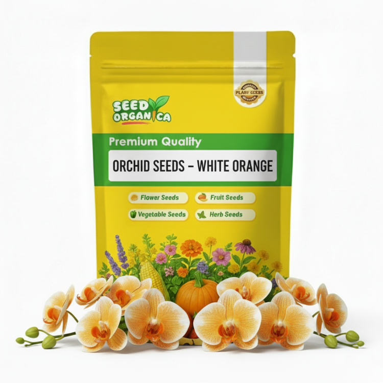 Orchid Seeds for Planting | Buy Orchid Seeds Online