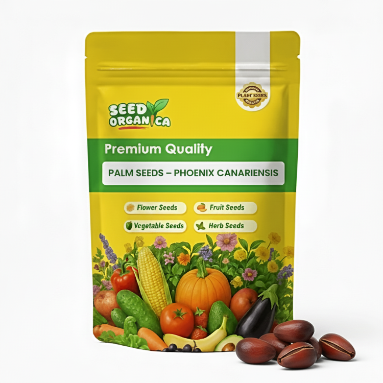 Palm Seeds – Tropical Varieties for Home Gardens | Buy Now