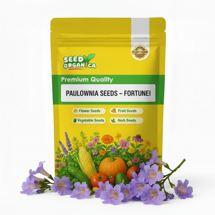 Fortunei Paulownia Seeds | Fast-Growing Ornamental Tree Seeds