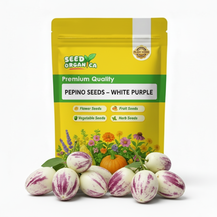 White Purple Pepino Seeds | Pepino Melon Garden Seeds