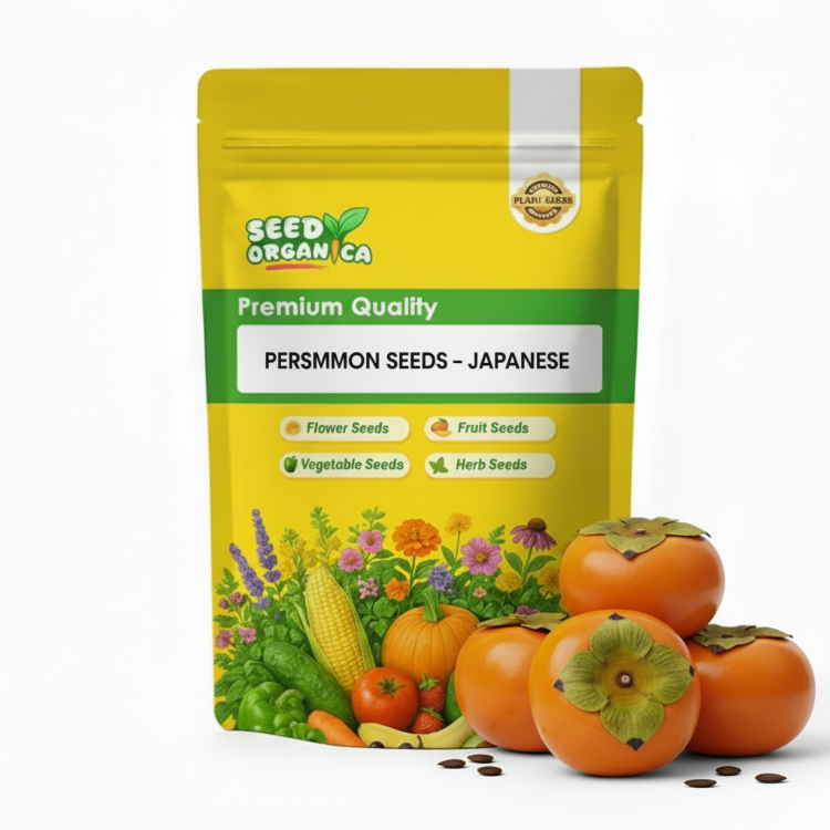 Japanese Persimmon Seeds | Persimmon Fruit Tree Seeds