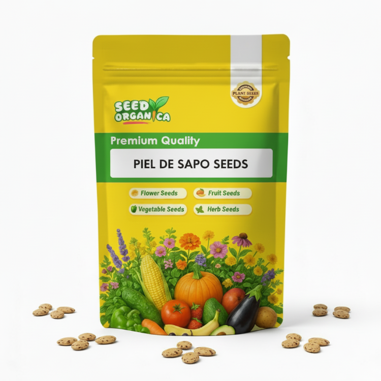 Piel de Sapo Seeds | Garden Melon Seeds