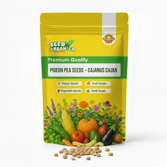 Pigeon Pea Seeds – Buy Fresh Varieties for Home Gardens