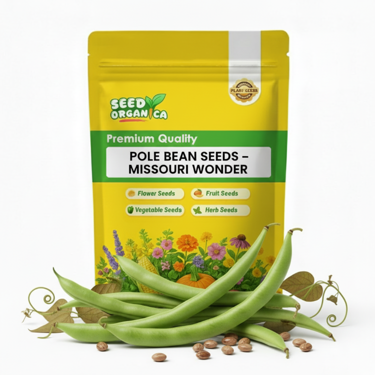 Missouri Wonder Pole Bean Seeds | Heirloom Garden Bean