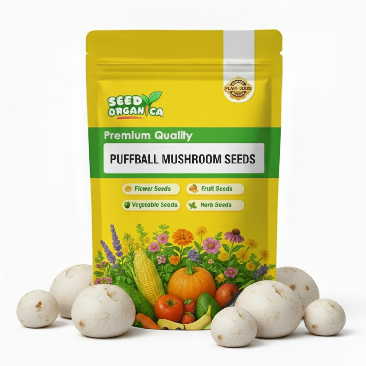 Puffball Mushroom Seeds | Garden Fungi Cultivation Seeds