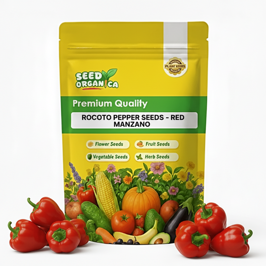 Red Manzano Rocoto Pepper Seeds | Spicy Garden Peppers
