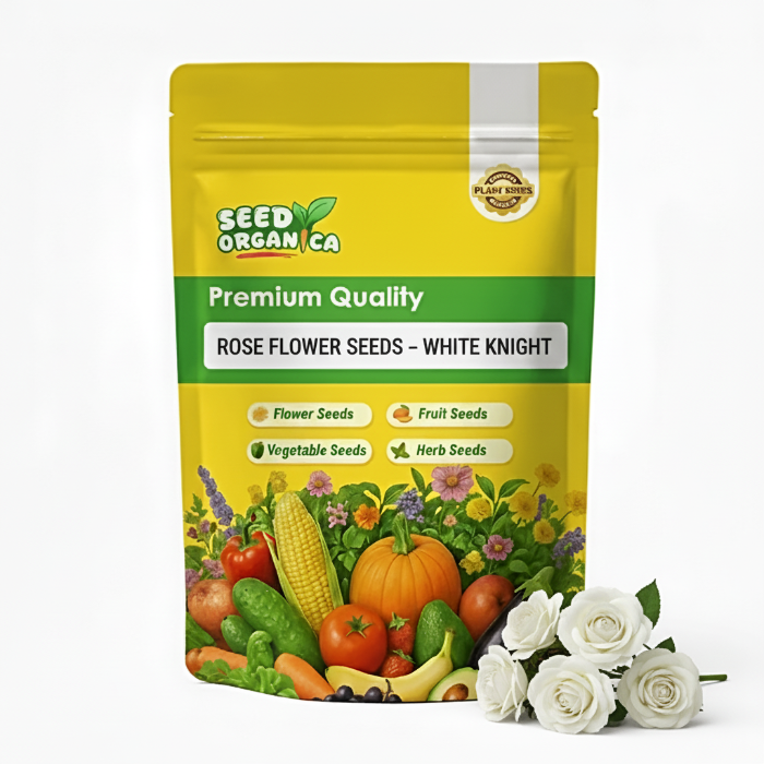 White Knight Rose Flower Seeds | Garden Flower Mix