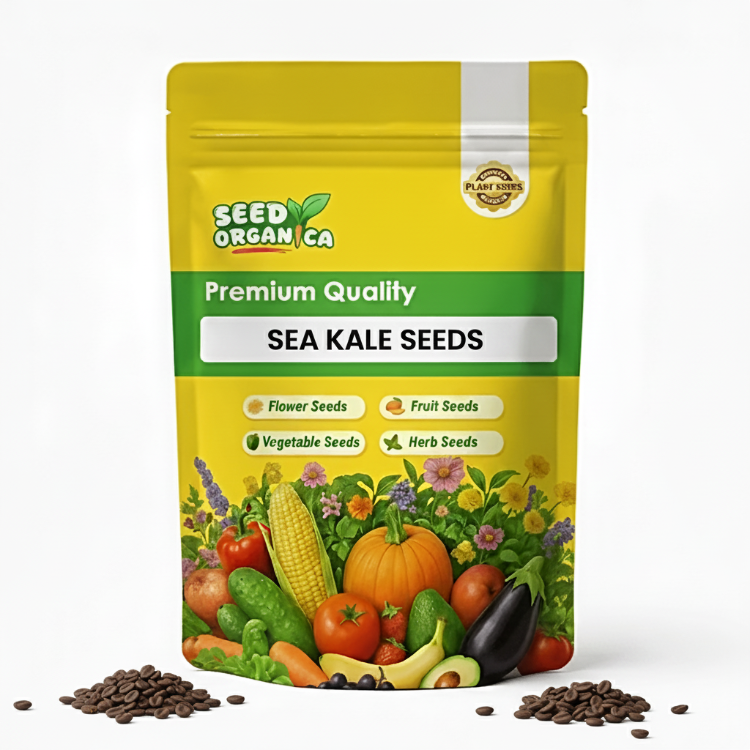 Sea Kale Seeds All Varieties – Buy Online | Seed Organica