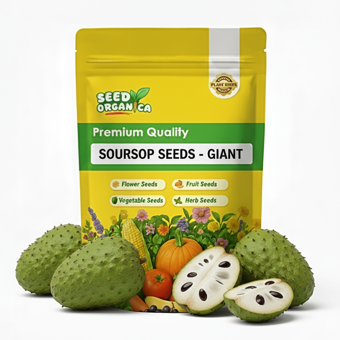 Soursop Seeds – Buy Fresh Tropical Varieties Online