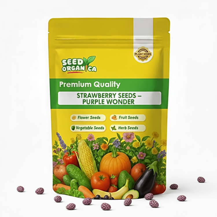 Strawberry Seeds – Purple Wonder