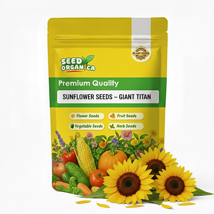 Giant Titan Sunflower Seeds | Garden Flower Plant