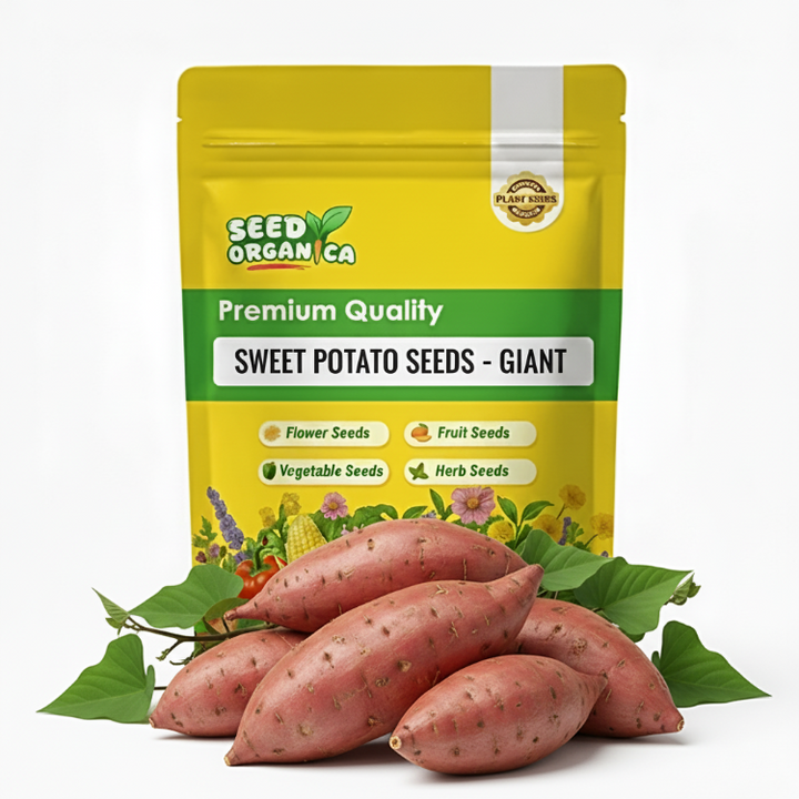 Sweet Potato Seeds – Shop Varieties for Home Gardens