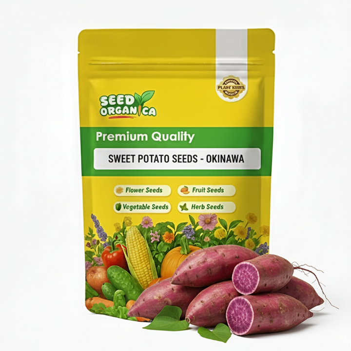 Sweet Potato Seeds – Shop Varieties for Home Gardens