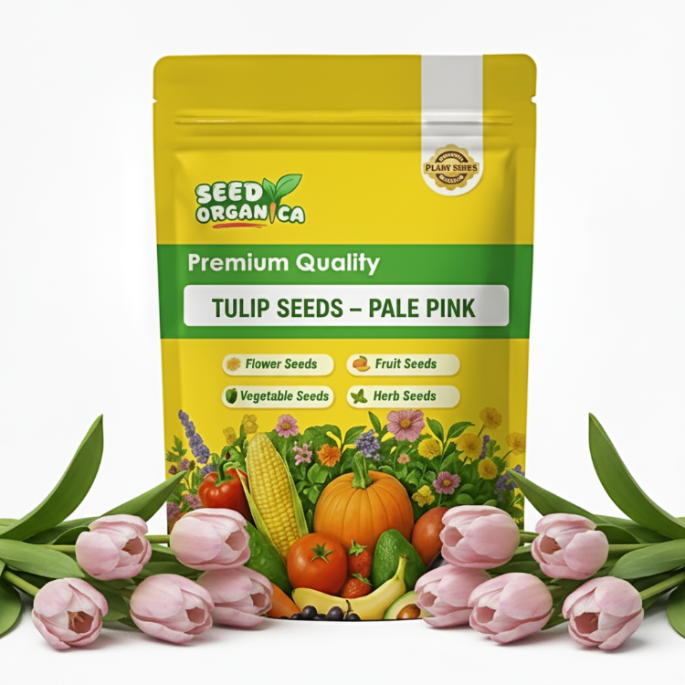 Tulip Seeds – Pale Pink