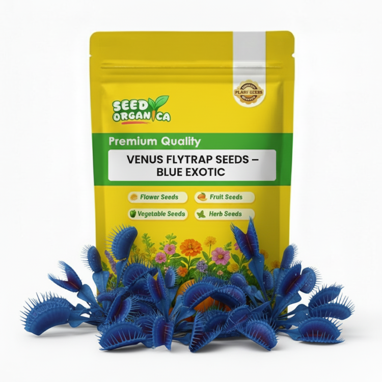 Venus Fly trap Seeds – Blue Exotic