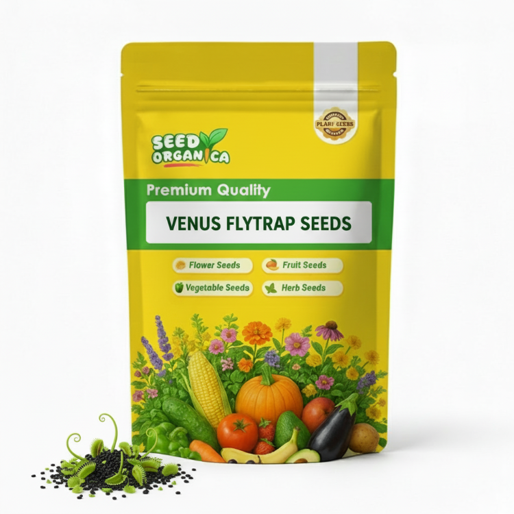 Venus Flytrap Seeds | Carnivorous Garden Plant