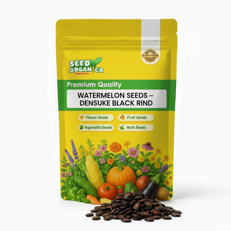 Densuke Black Rind Watermelon Seeds | Specialty Melon
