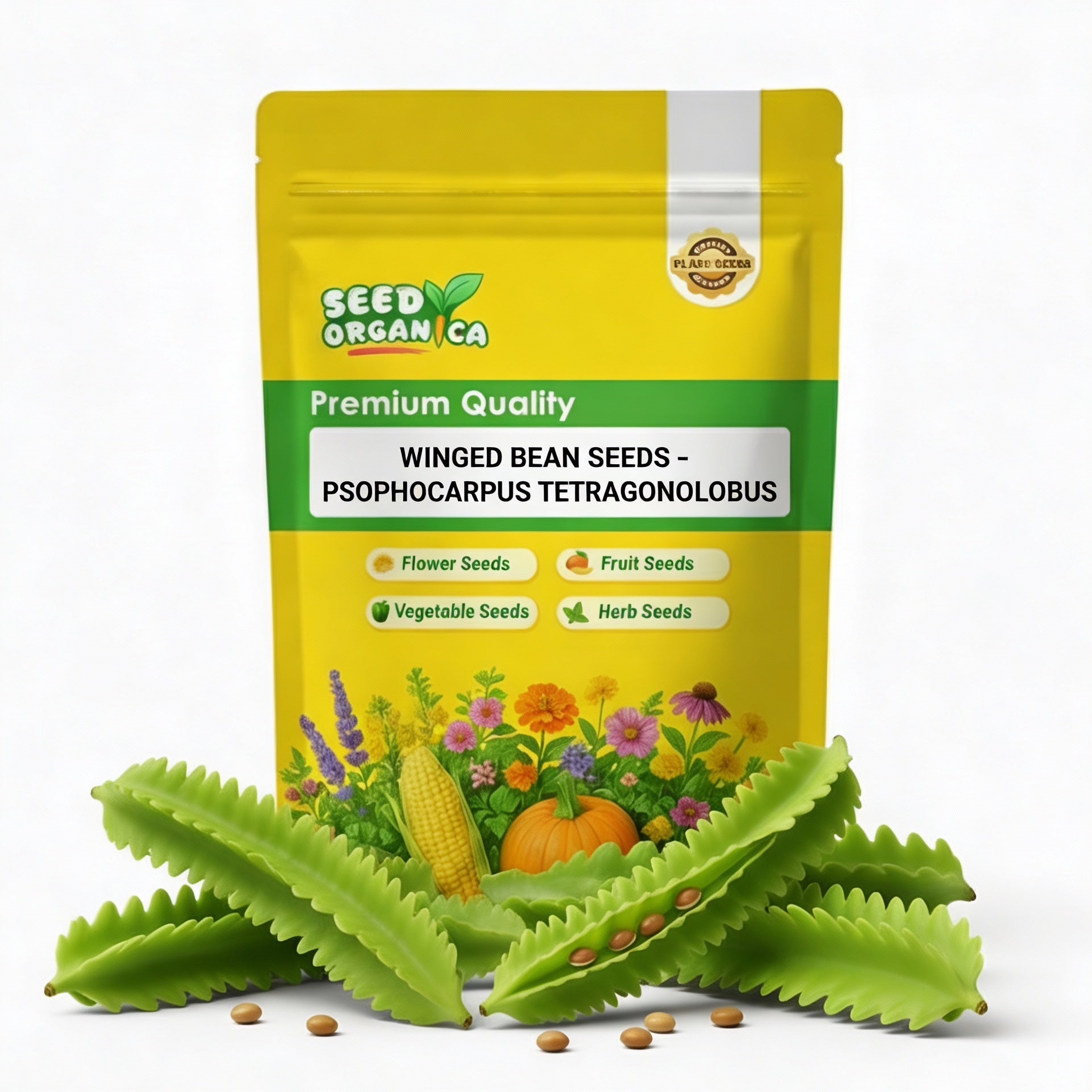 Psophocarpus Tetragonolobus Winged Bean Seeds | Garden Vegetable Seeds