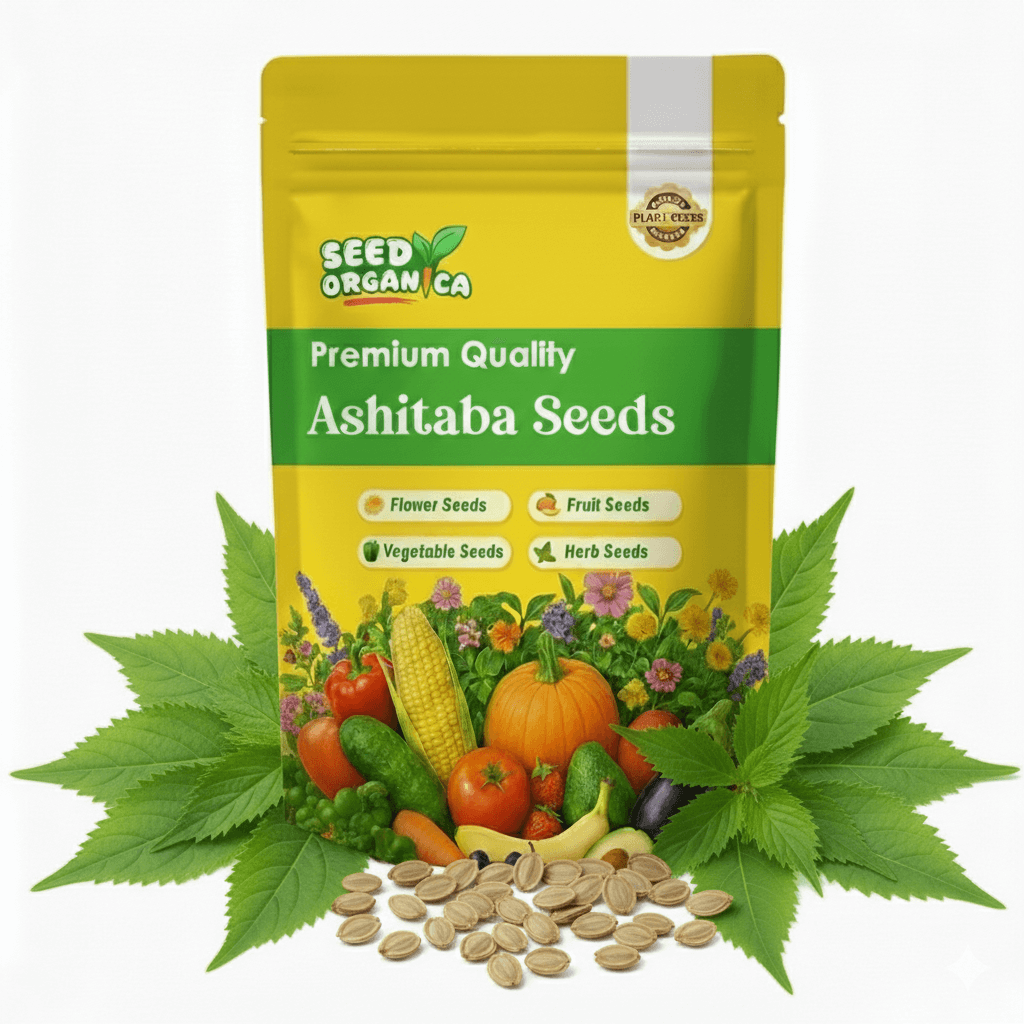 Ashitaba Seeds for Planting | Buy Herb Garden Seeds