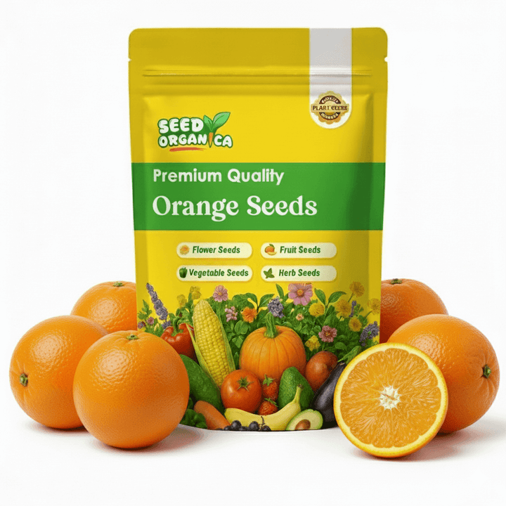 Orange Seeds for Planting | Buy Orange Seeds Online